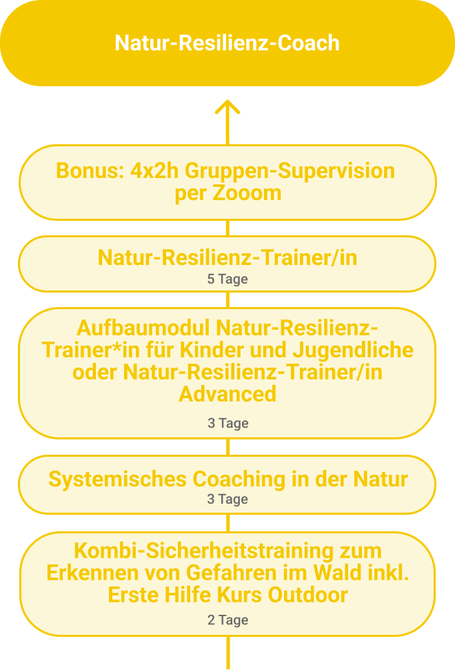 Natur-Resilienz-Coach - Deutsche Akademie für Waldbaden & Gesundheit